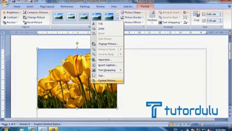 Cara Memberi Garis Tepi Border Pada Gambar Microsoft Word Cara Memberi Garis Tepi Border Pada Gambar Microsoft Word